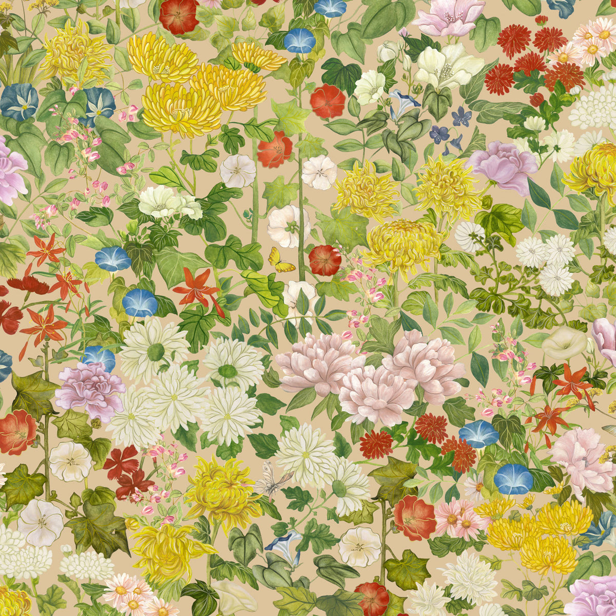 Cole & Son 'Flora Province' Wallpaper – Jane Richards Interiors