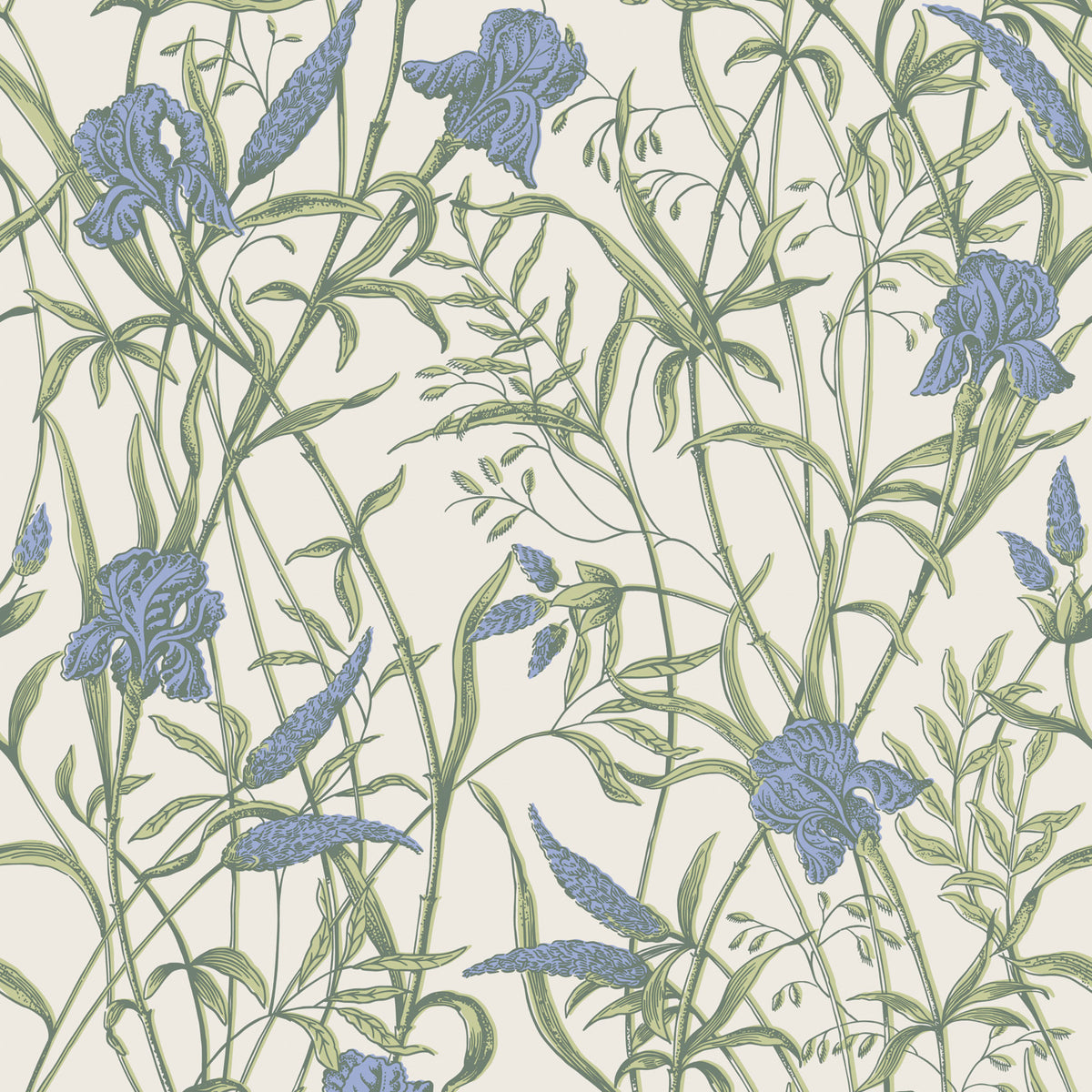 Cole & Son 'Iris' Wallpaper – Jane Richards Interiors