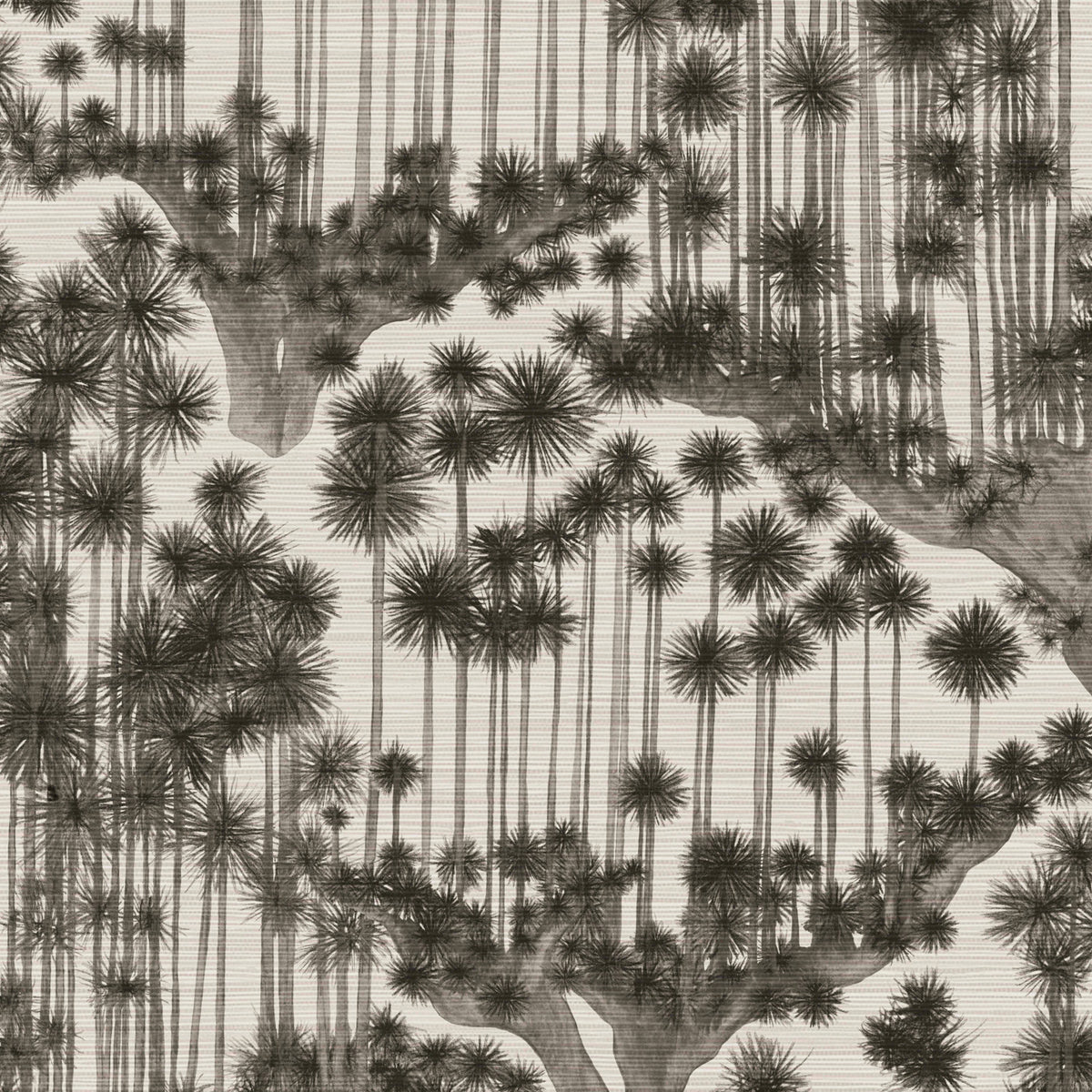 Cole & Son 'Japanese Woods' Grasscloth Wallpaper – Jane Richards Interiors