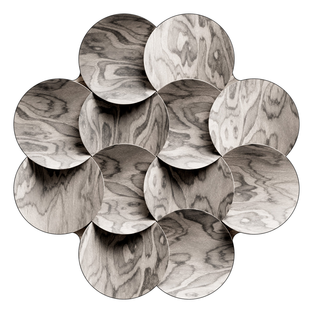 Moooi Carpets 'Timber Tones' Rug - Misty Birch – Jane Richards Interiors
