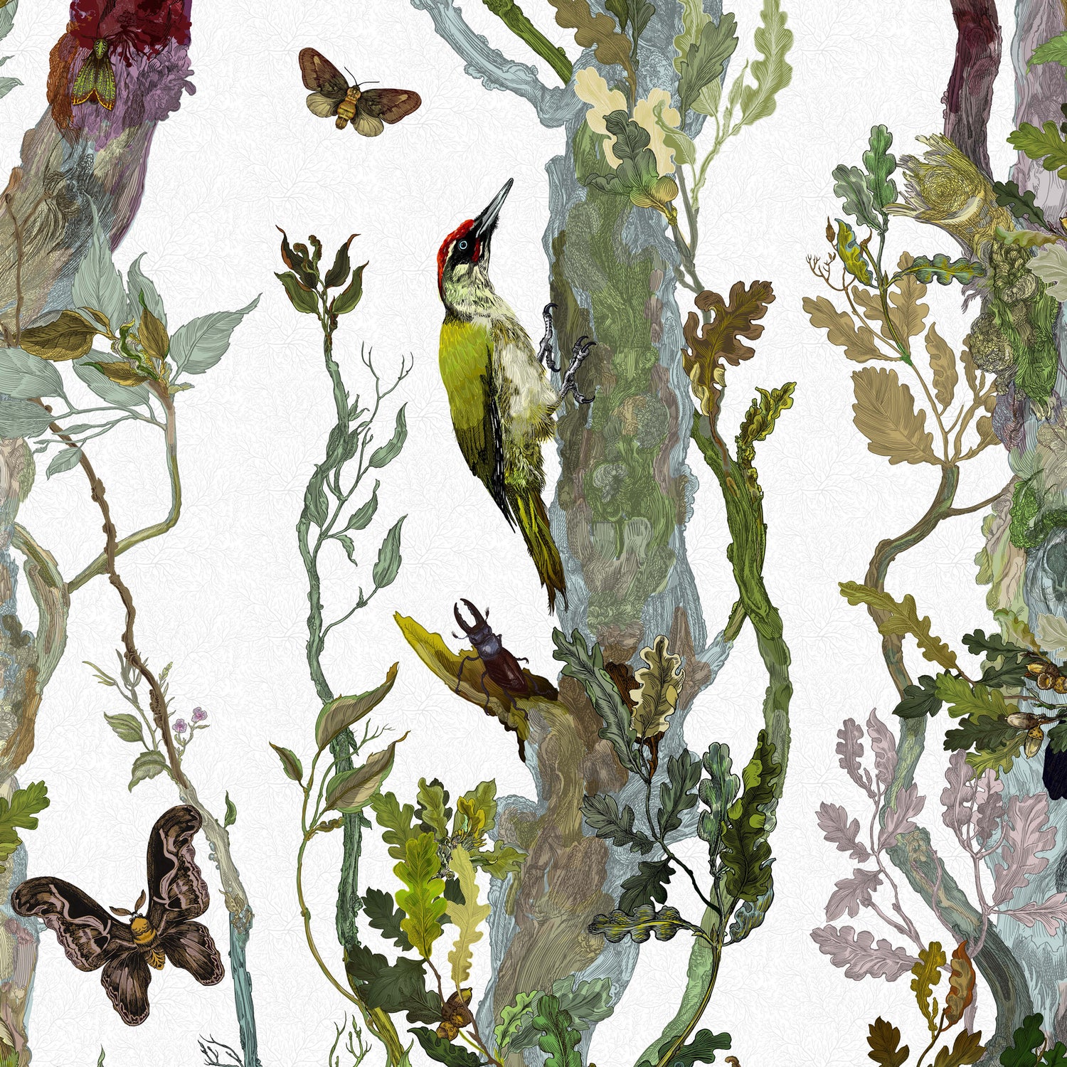 Timorous Beasties Wallpaper – Jane Richards Interiors