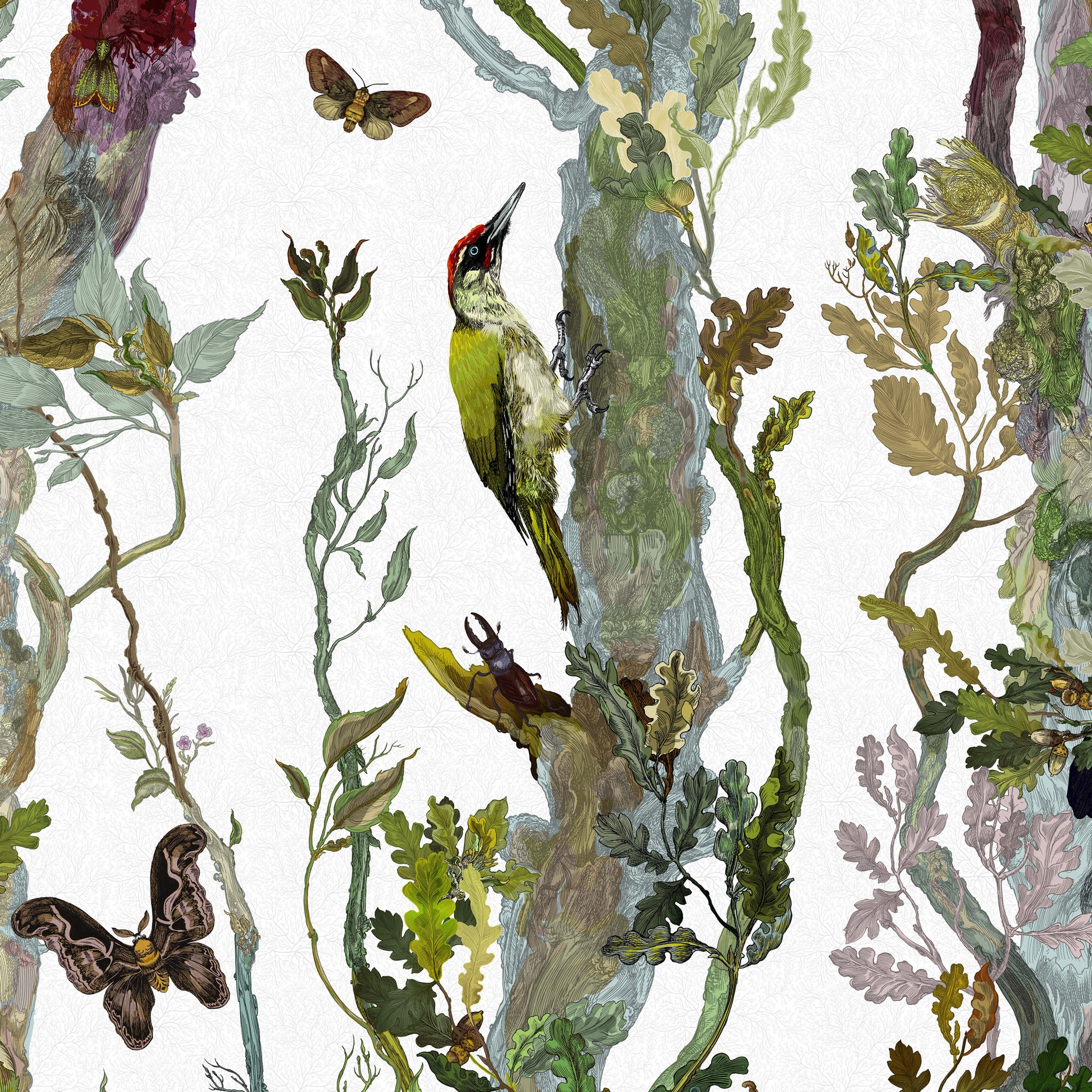 Timorous Beasties Wallpaper – Jane Richards Interiors