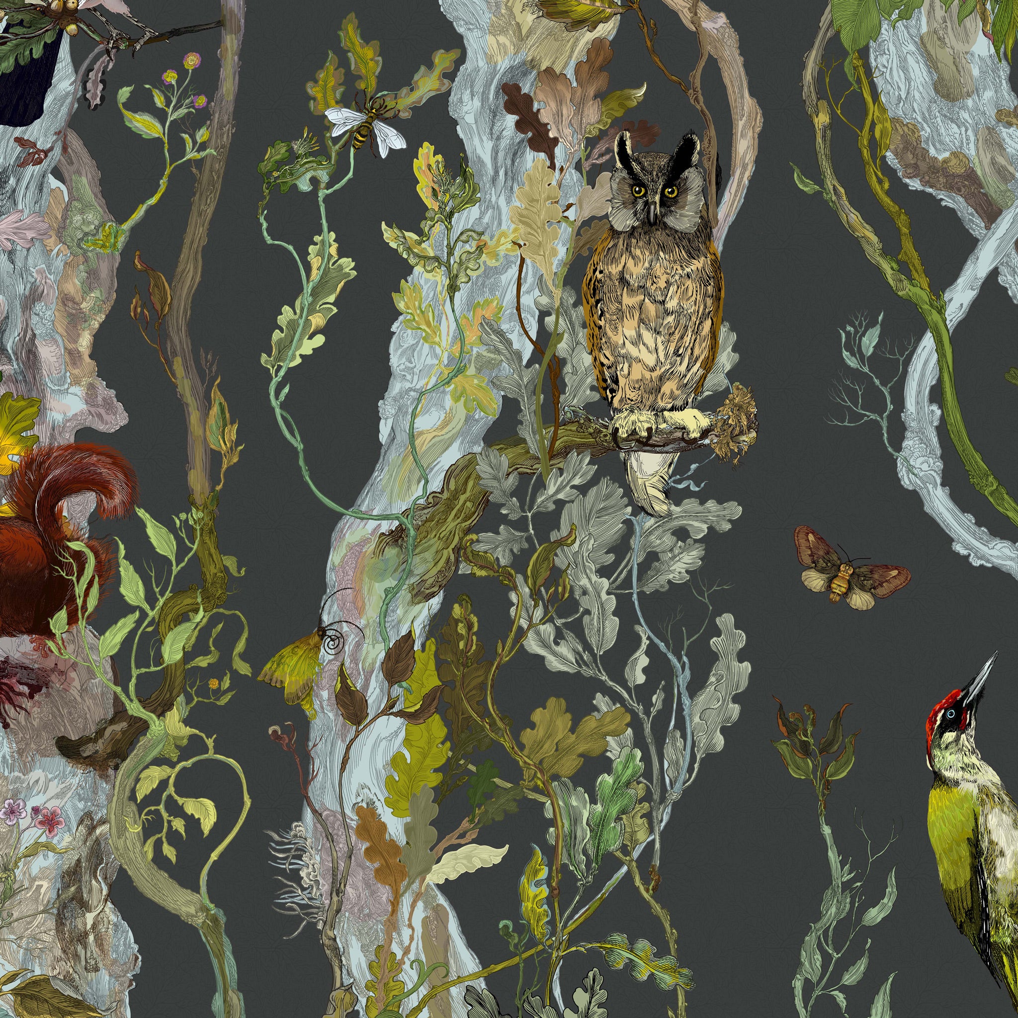 Timorous Beasties Wallpaper – Jane Richards Interiors