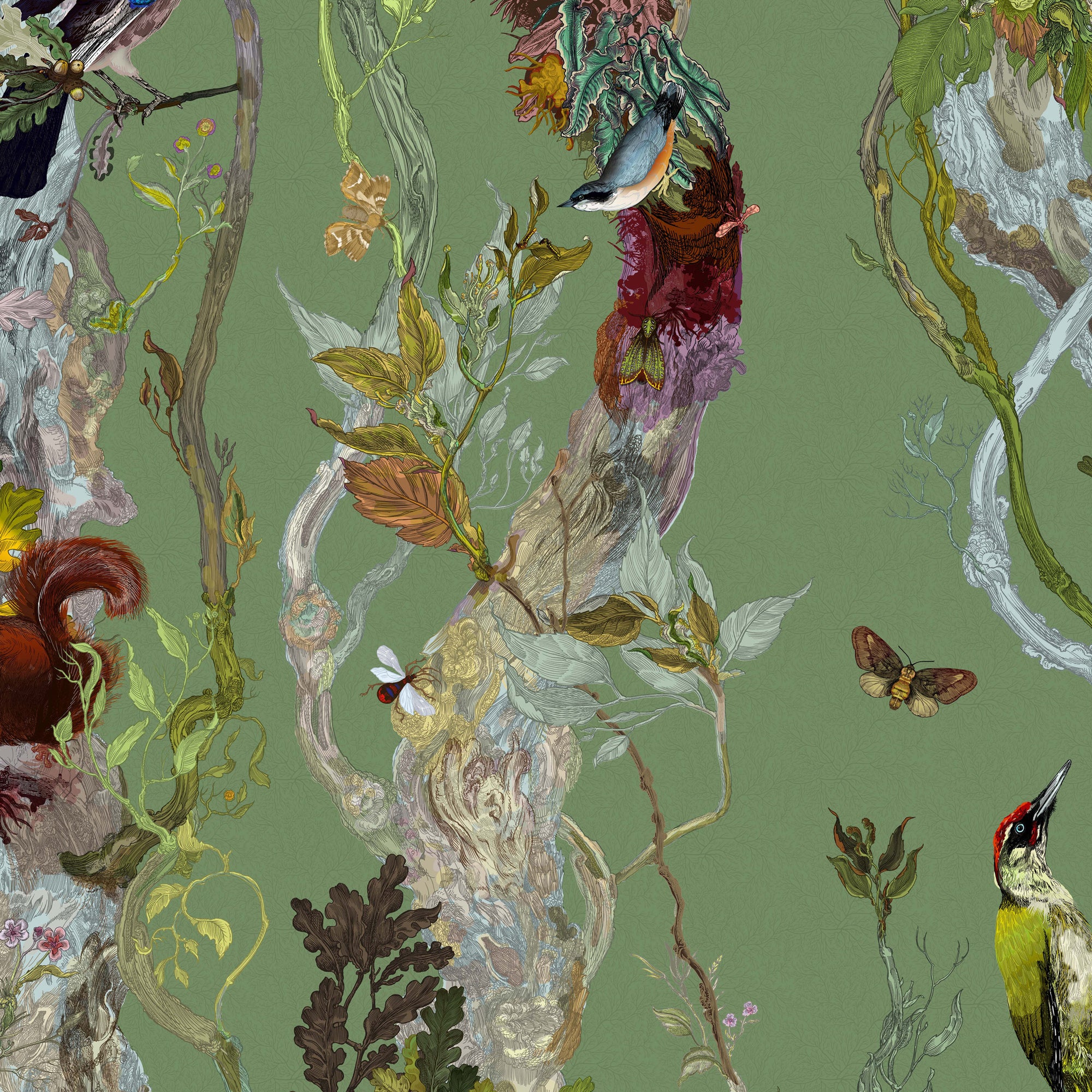Timorous Beasties 'Indie Wood' Wallpaper – Jane Richards Interiors