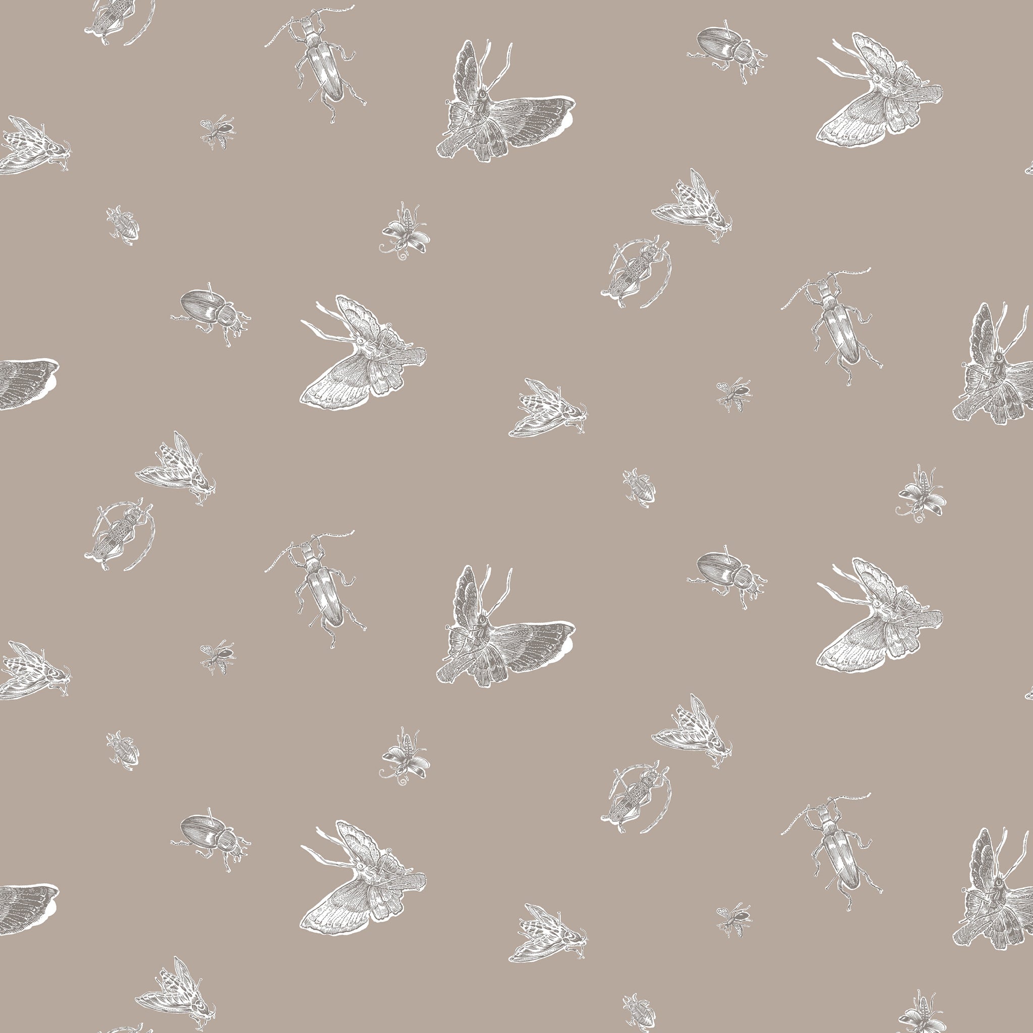 Timorous Beasties – Jane Richards Interiors