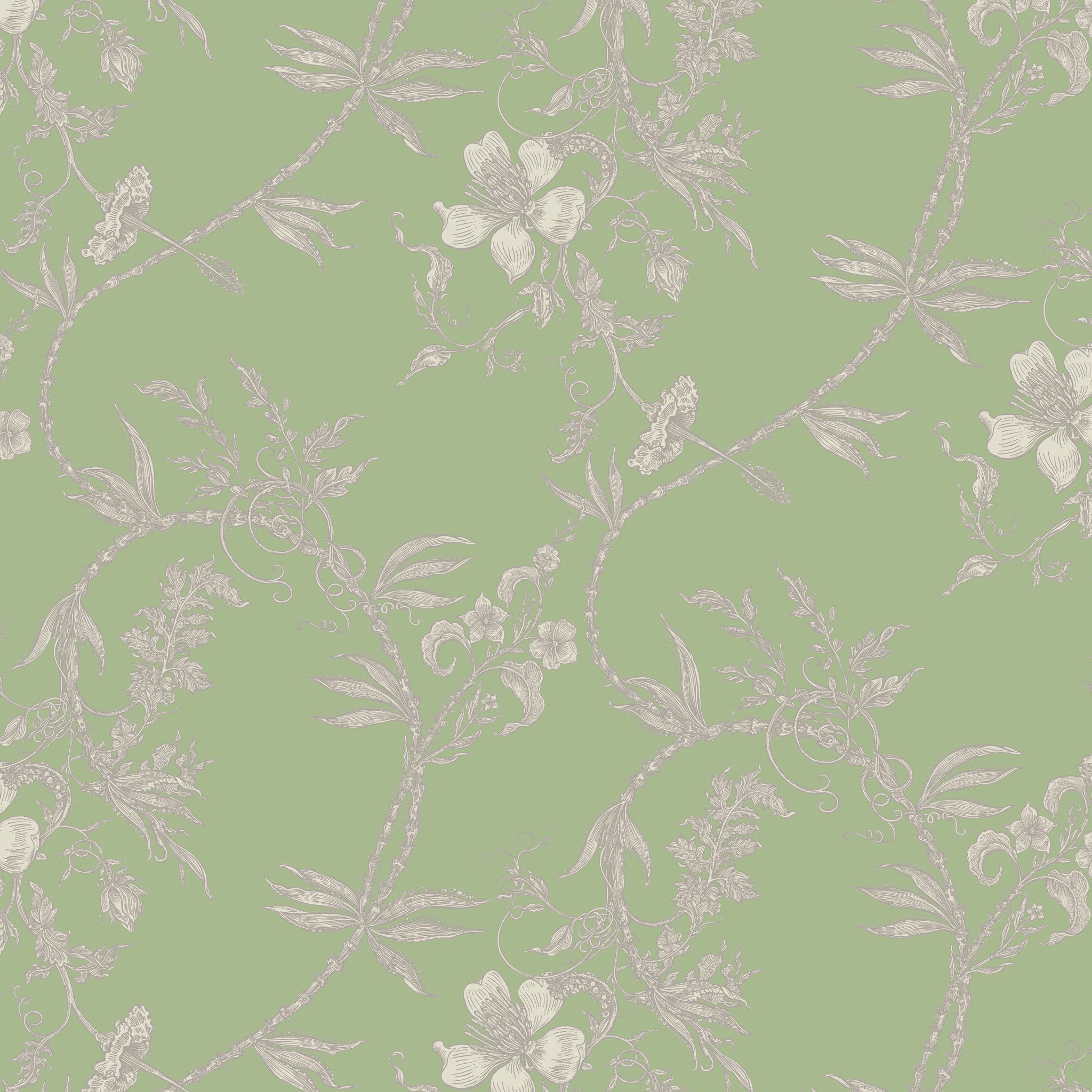 Timorous Beasties 'Vinea' Wallpaper Cream – Jane Richards Interiors
