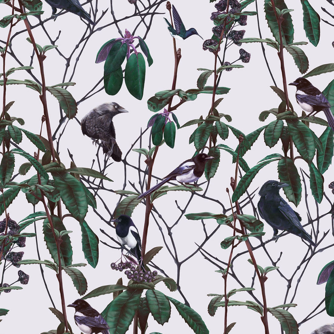 Witch & Watchman 'Folia' Light Wallpaper – Jane Richards Interiors