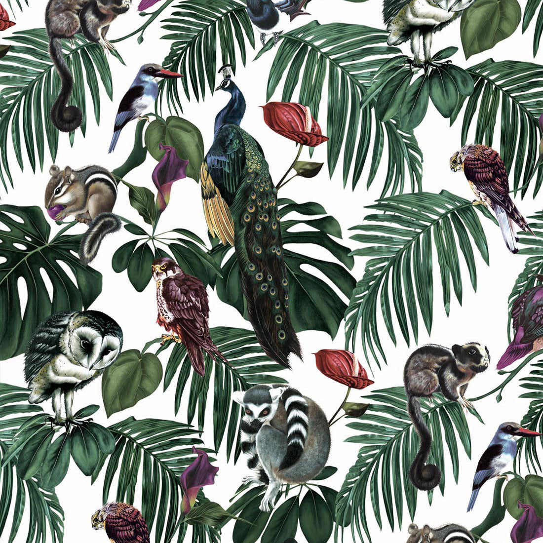 Witch & Watchman 'Tropical' Wallpaper - Amazonia Light – Jane Richards ...