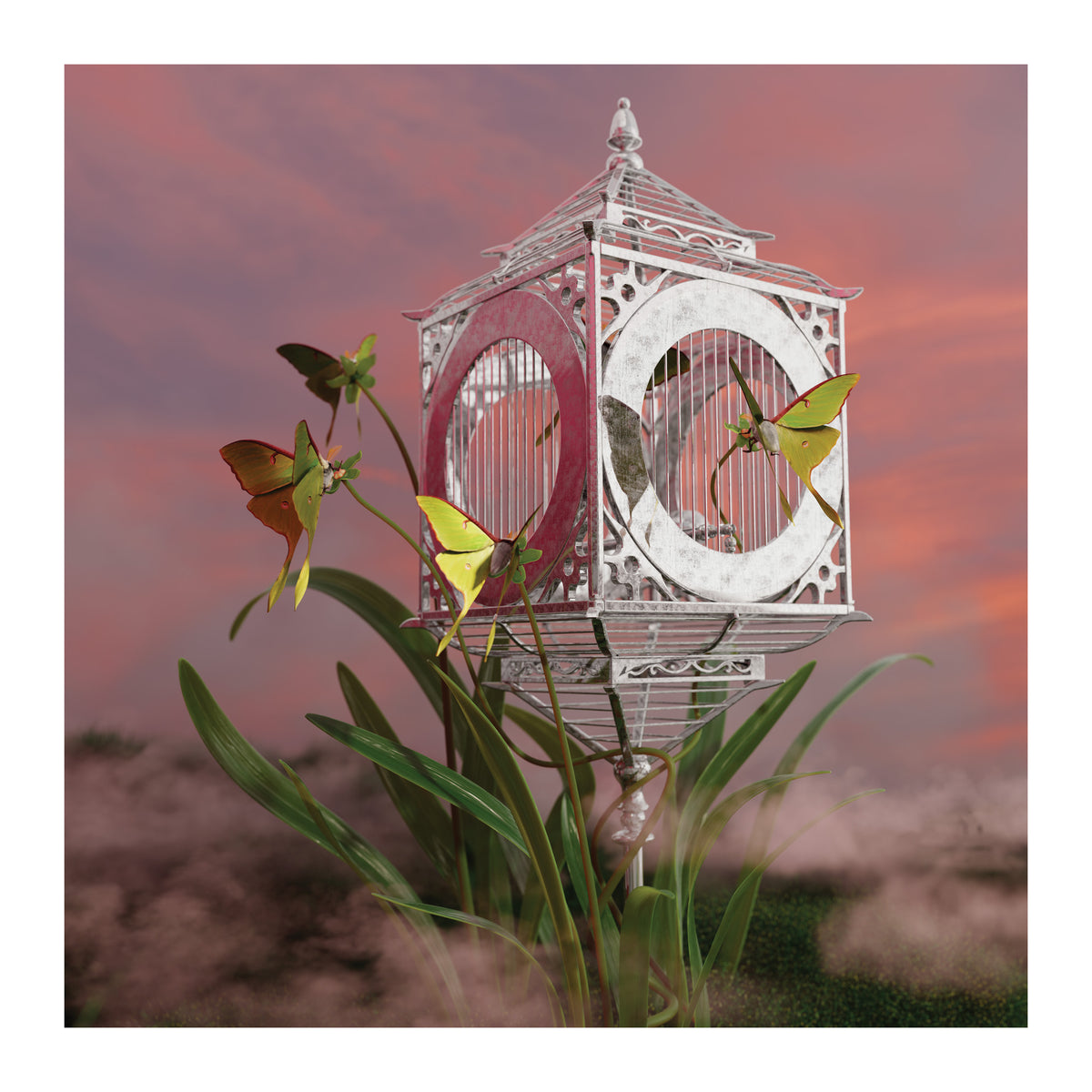 Moooi Carpets Extinct Animals - 'Mimic Moth' Rug by Ada Sokol – Jane ...