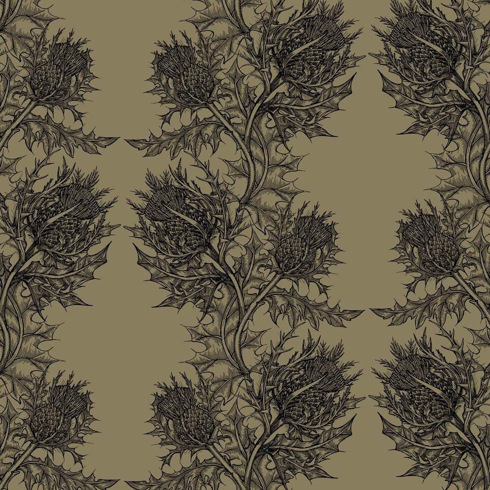 Timorous Beasties 'Thistle' Wallpaper – Jane Richards Interiors