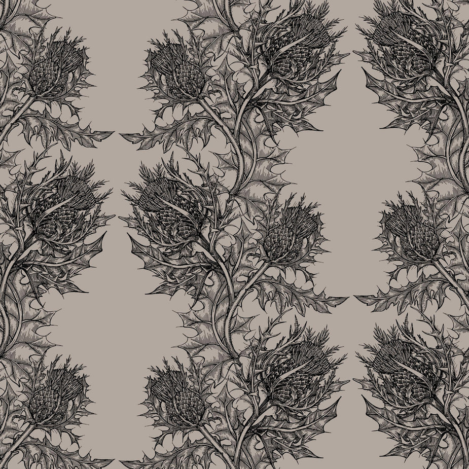 Timorous Beasties Wallpaper – Jane Richards Interiors