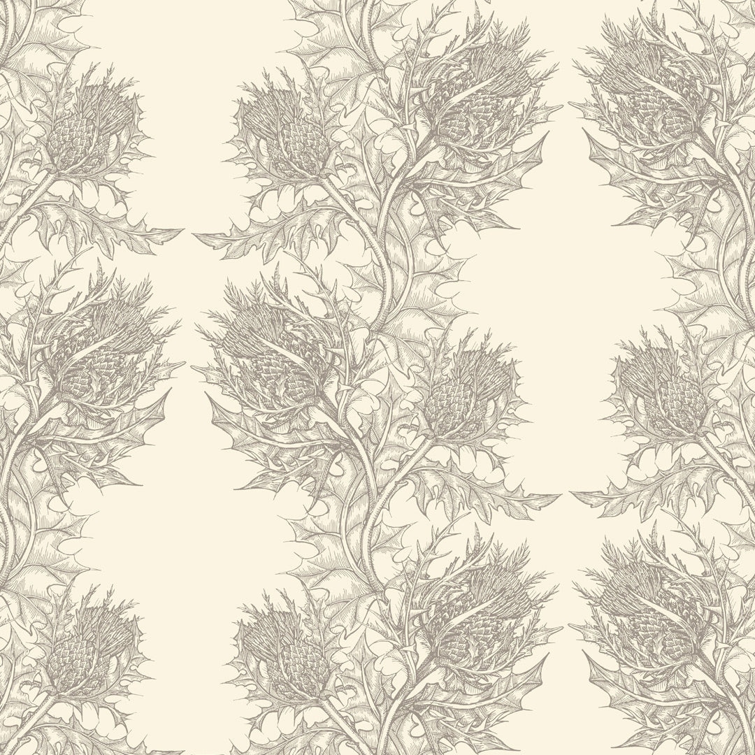 Timorous Beasties Wallpaper – Jane Richards Interiors