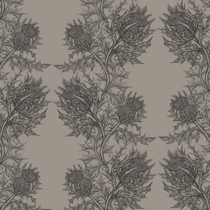 Timorous Beasties 'Thistle' Wallpaper – Jane Richards Interiors