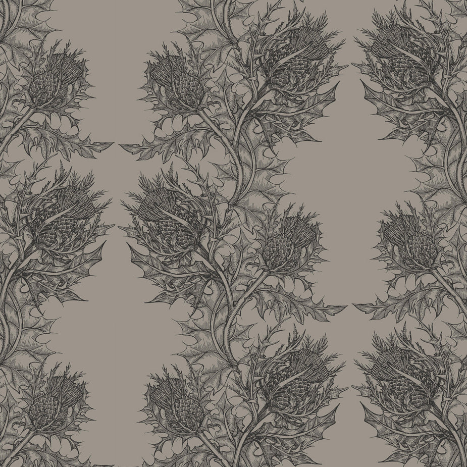 Timorous Beasties Wallpaper – Jane Richards Interiors